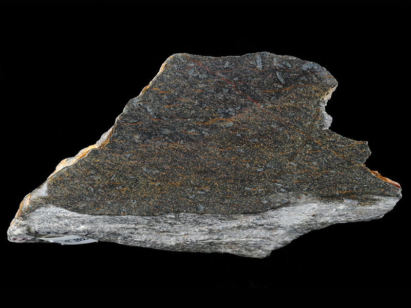S339 26 - Chloritoid schist