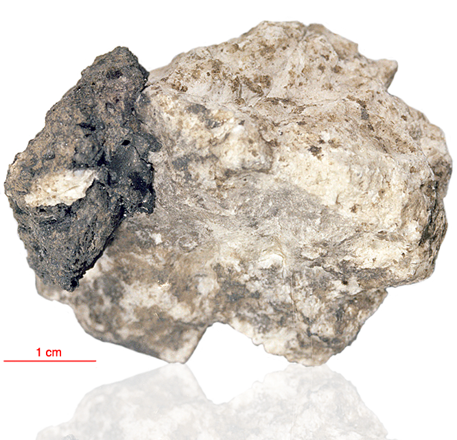 60629 (5) Ferroan Anorthosite | Virtual Microscope