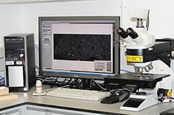 Welcome to the Virtual Microscope for Earth Sciences | Virtual Microscope